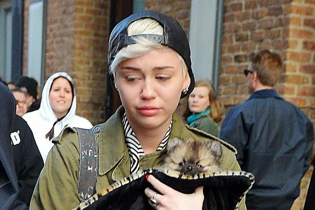 Miley Cyrus}} seen hysterically crying in New York street after death ...